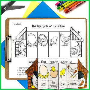 Life Cycles Foldable Science Cut and Paste Activities Butterfly Bean ...