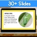 Monarch Butterflies Lesson With Google Slides Slideshow and Printable ...