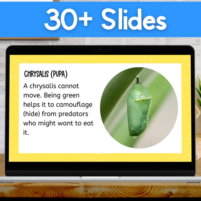 Monarch Butterflies Lesson With Google Slides Slideshow and Printable ...