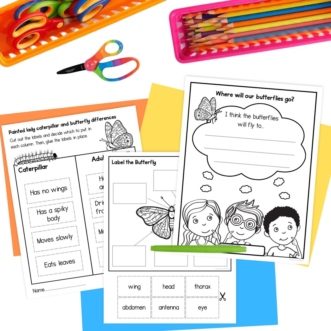 Painted Lady Butterfly & Caterpillar Printables Life Cycle, Observation ...