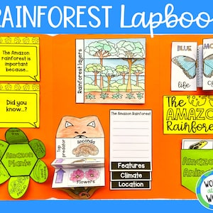 Amazon Lapbook Foldable Printable Templates Digital Download Kids ...