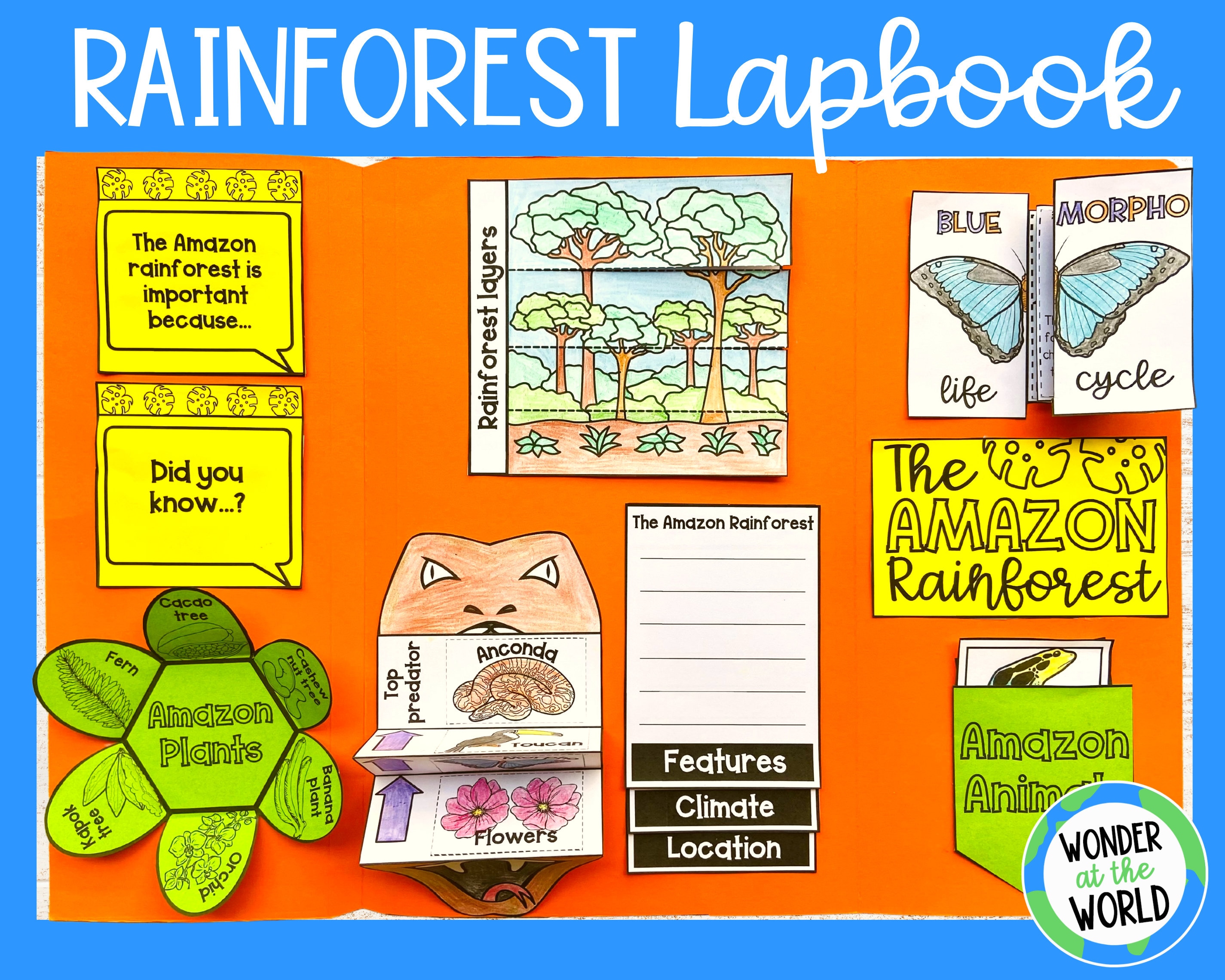 Amazon Lapbook Foldable Printable Templates Digital Download Kids ...