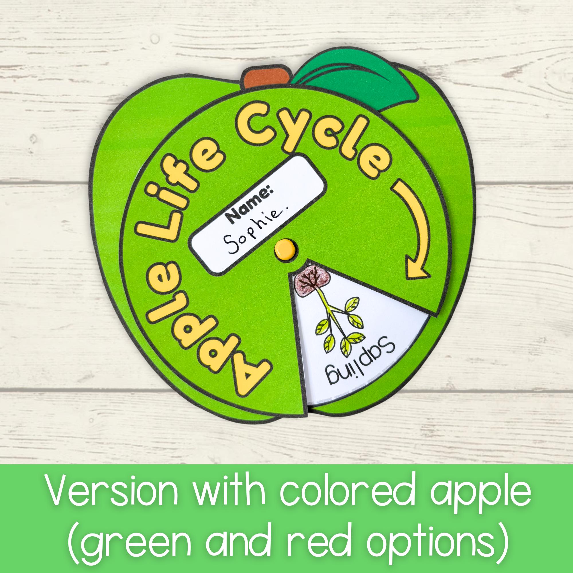 Apple Tree Life Cycle Foldout and Spinner Wheel Craft Activity Cut and ...