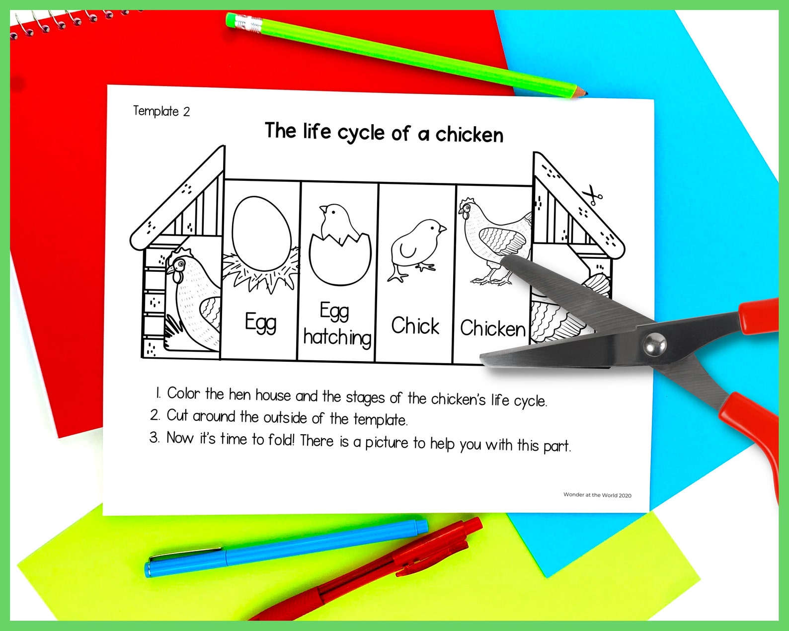 Life Cycle of a Chicken Foldable Kids' Craft A4 and - Etsy