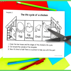 Life Cycle of a Chicken Foldable Kids' Craft Activity A4 and 11x8.5 ...