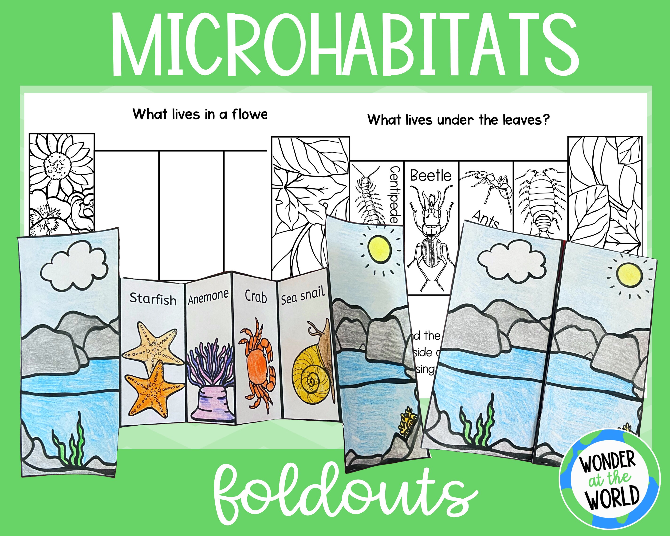 Microhabitats Foldable Kids' Activity A4 and 11x8.5 Inch Digital ...