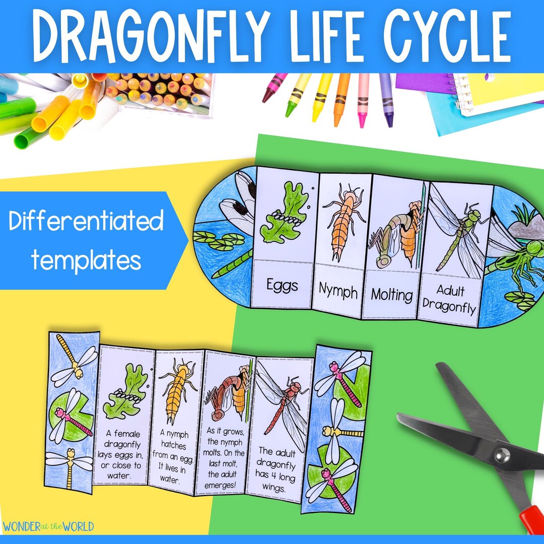 Life Cycle of a Dragonfly Foldout Kids' Science Craft | A4 and 11x8.5 ...