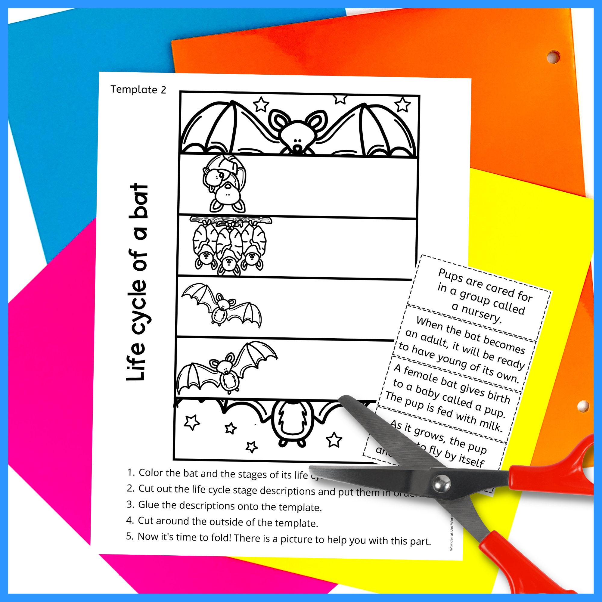 Halloween Life Cycle Foldable Activities for Kids Owl Pumpkin Bat and ...