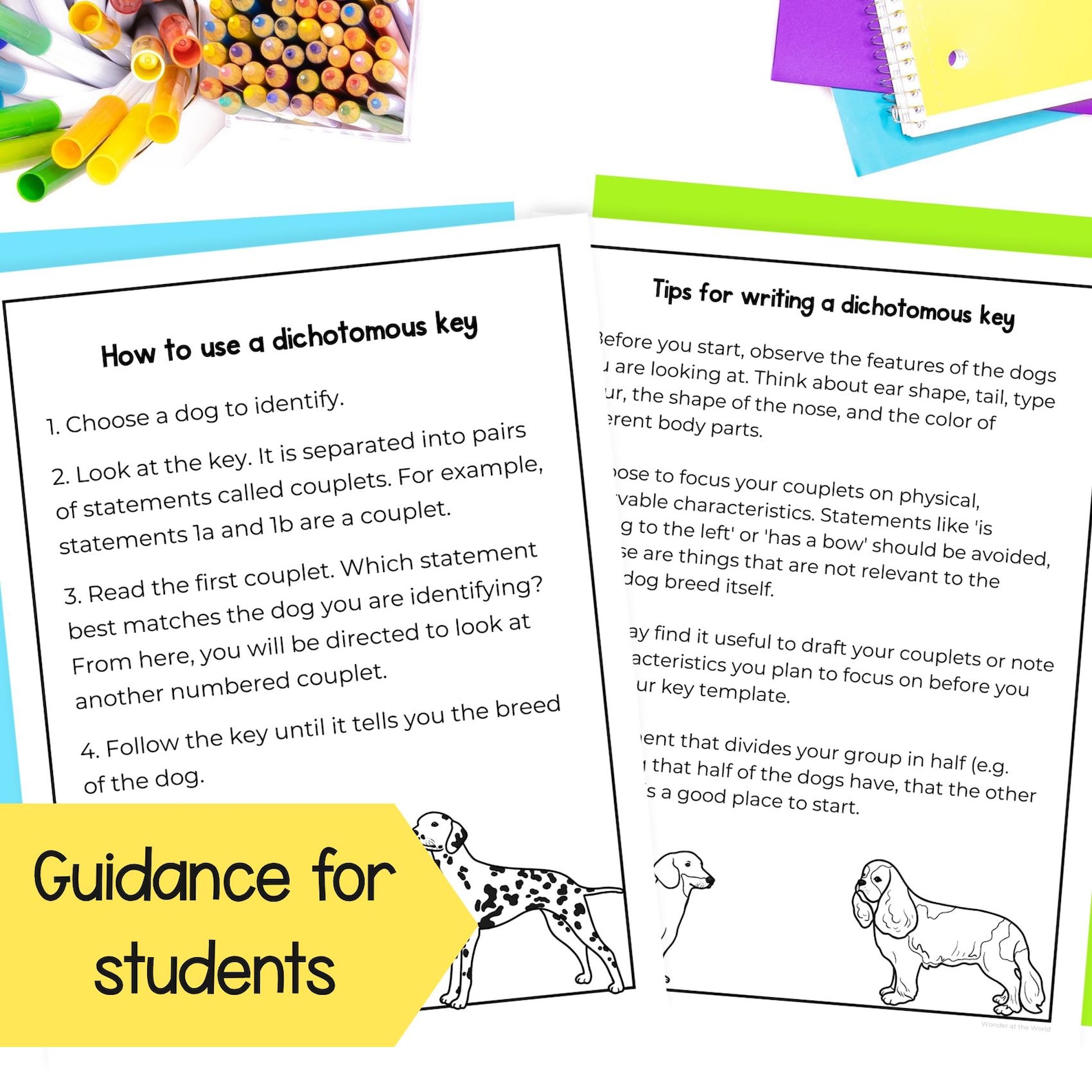 Dichotomous Keys Activities Worksheets for Elementary or Primary ...