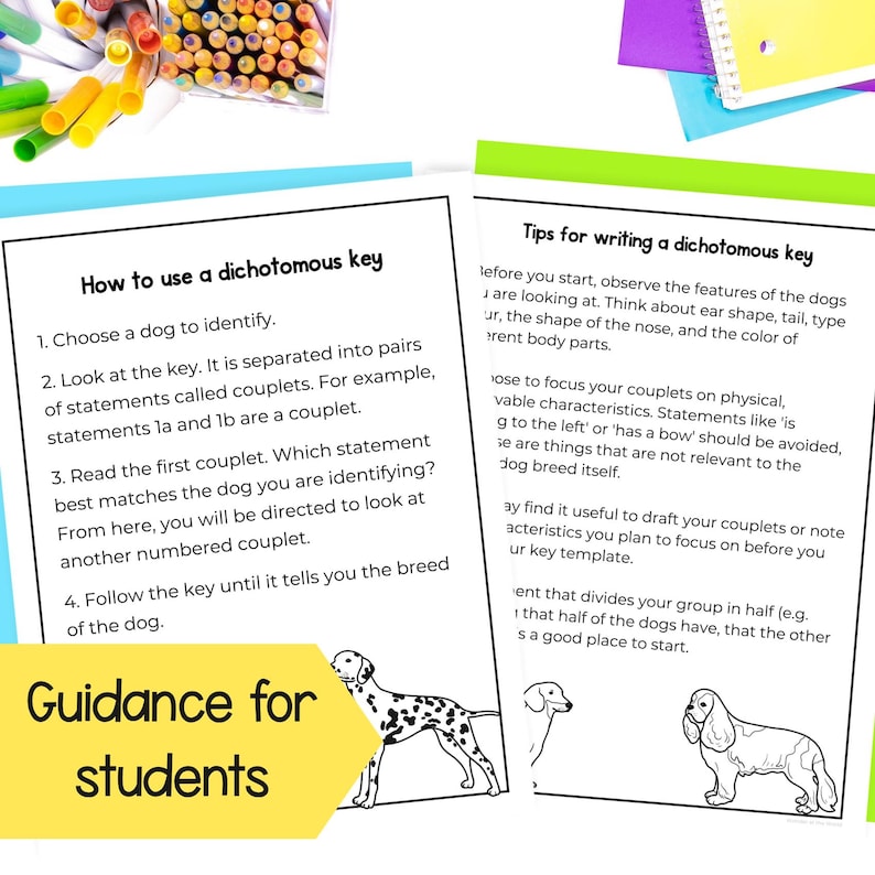 Dichotomous Keys Activities Worksheets for Elementary or Primary ...