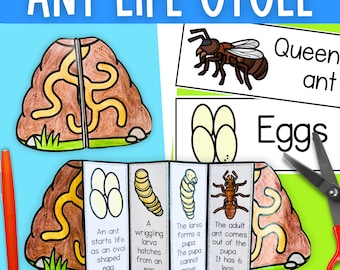 Life Cycle of an Ant Foldable Cut and Paste Science Activity and ...