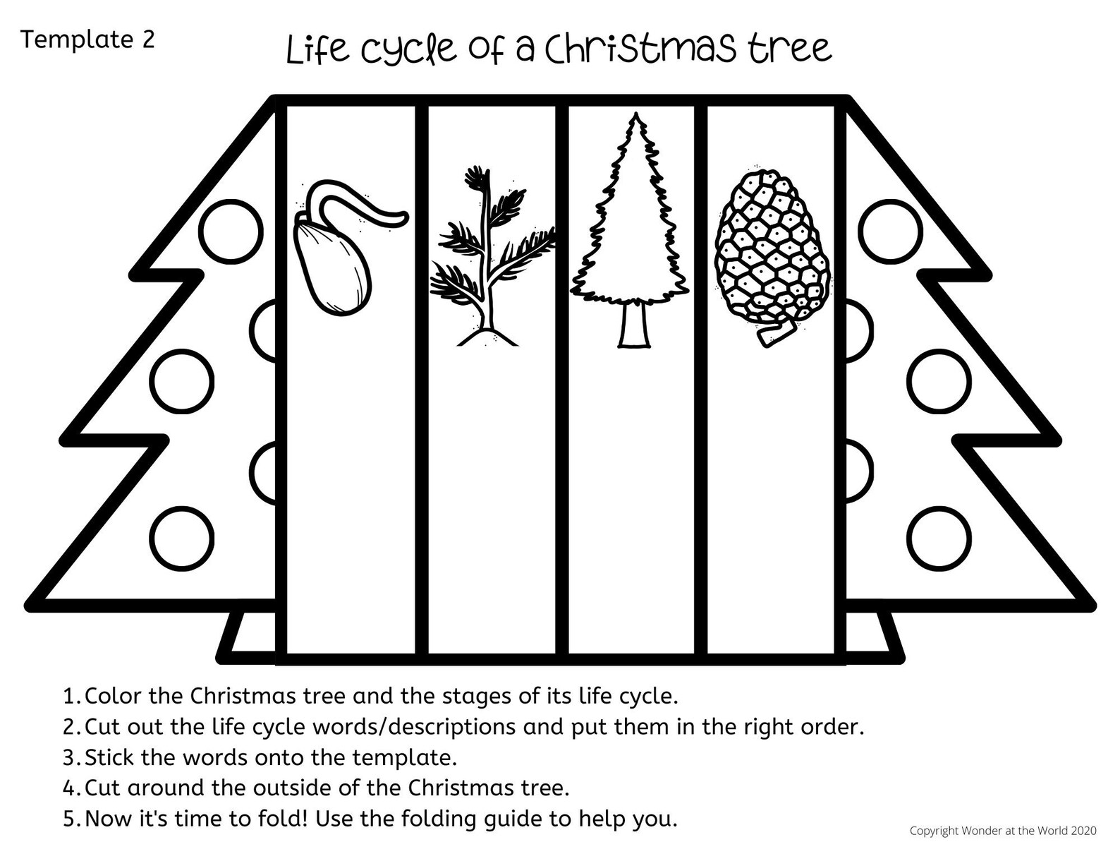 Life Cycle of a Christmas Tree Foldable Kids' Craft A4 | Etsy UK