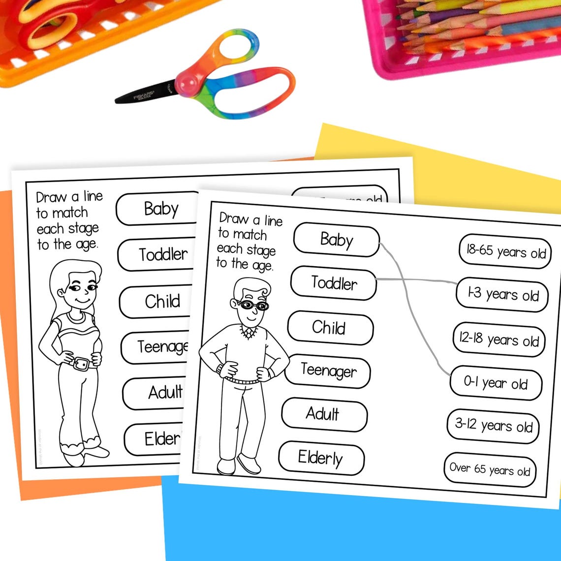 Human Life Cycle Sequence and Fold Activity for Kids | Printable US ...