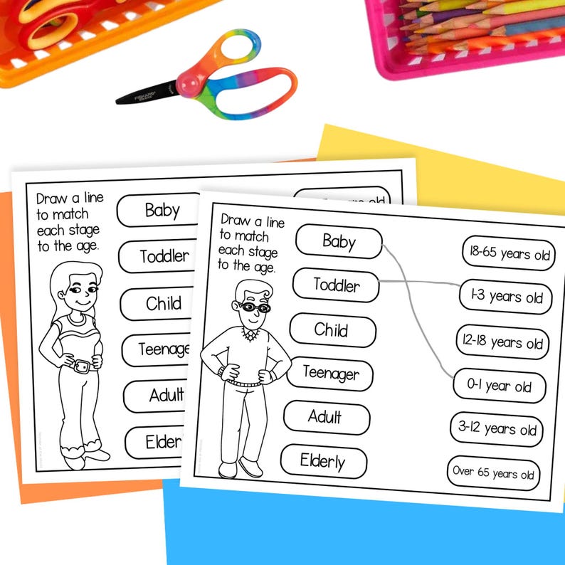 Human Life Cycle Sequence and Fold Activity for Kids | Printable US ...