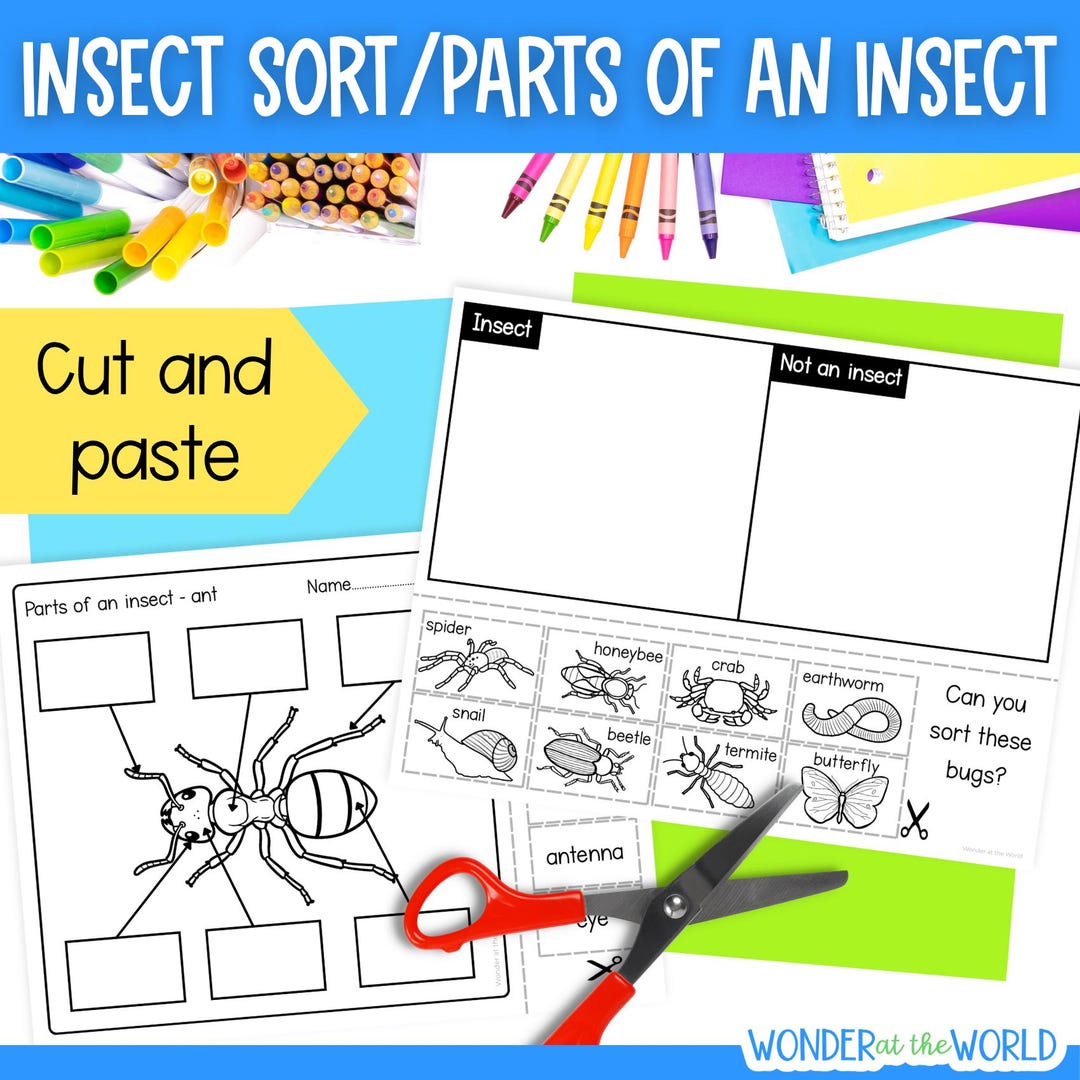 Insect Bug Sort and Body Parts of an Insect Cut and Paste Worksheet ...
