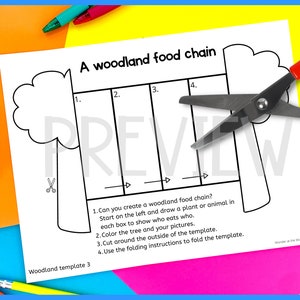 Food Chains Foldable Activity for Kids A4 and 11x8.5 Inch Digital ...