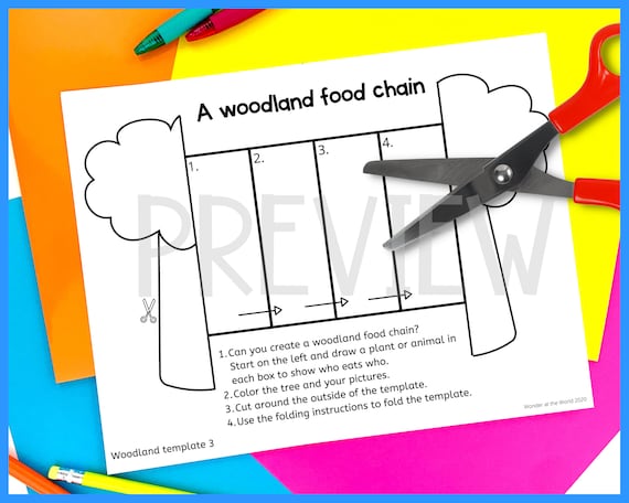 Woodland Food Chain