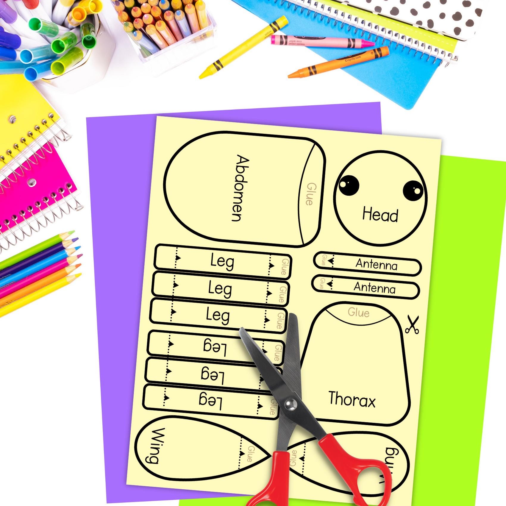 Body Parts of an Insect Build a 3D Bug Science Craft for Kids PDF - Etsy