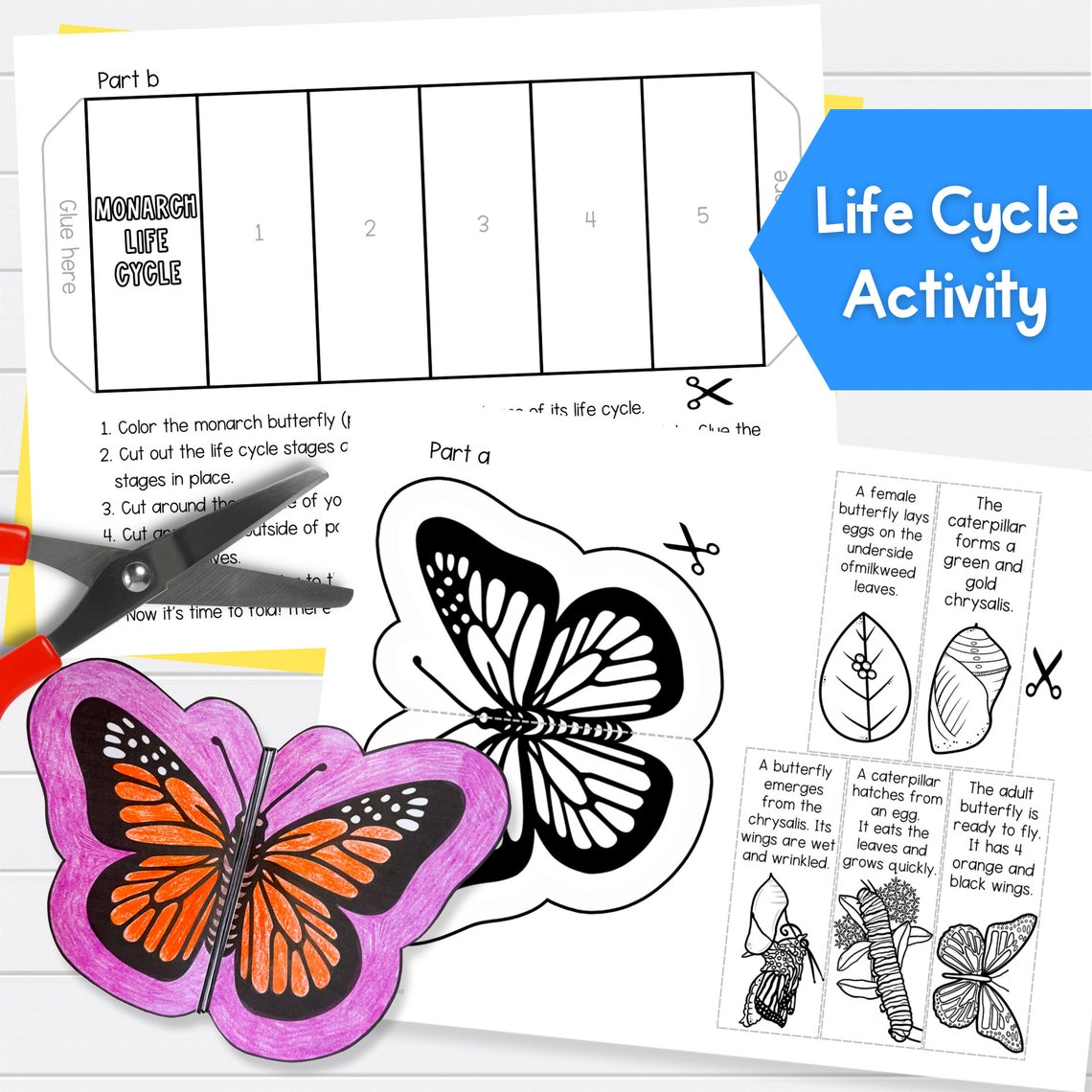 Monarch Butterflies Lesson With Google Slides Slideshow and Printable ...