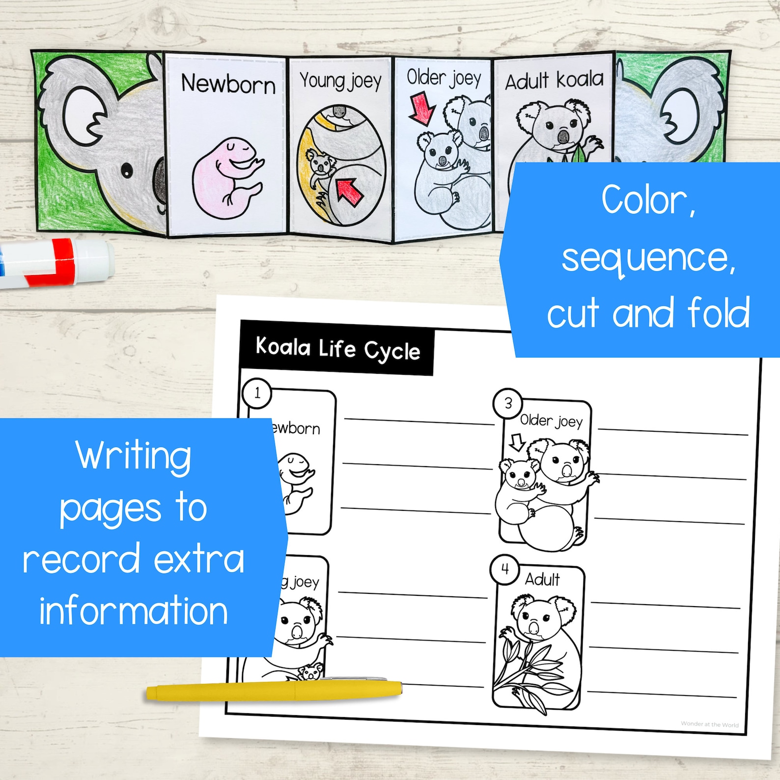 Australian Animals Mammals Life Cycle Foldout Science Learning ...