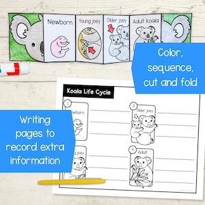 Australian Animals Mammals Life Cycle Foldout Science Learning ...