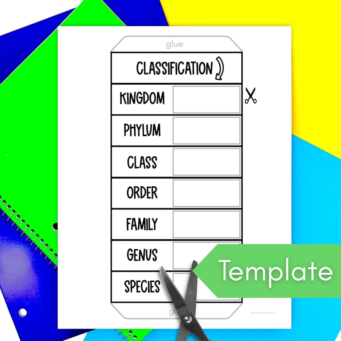 Animal Classification Taxonomy Research Cut and Paste Biology Activity ...