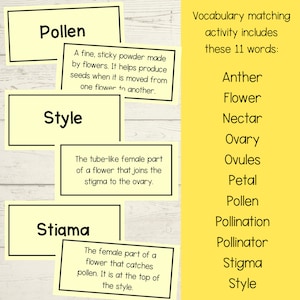 Stages of Insect Pollination Sequence and Fold Science Activity Cut ...
