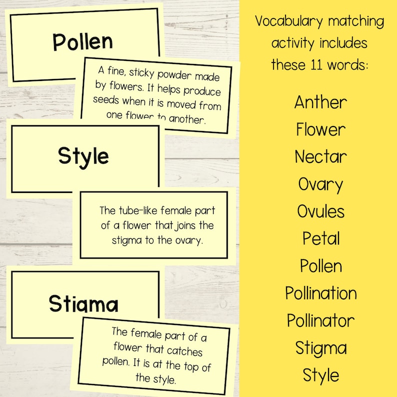 Stages of Insect Pollination Sequence and Fold Science Activity Cut ...