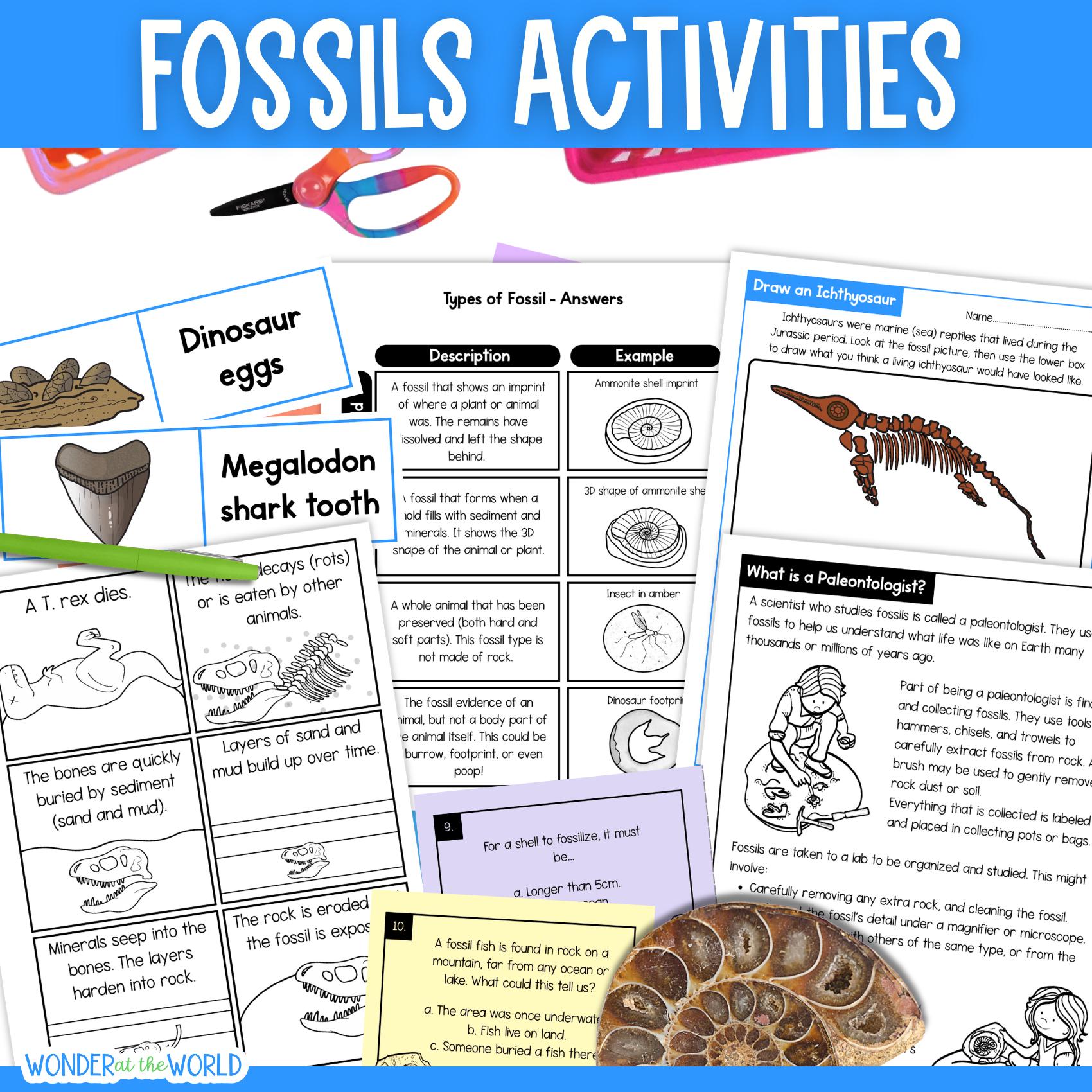Fossils Printable Activities Worksheets Lesson for Third Fourth Grade ...