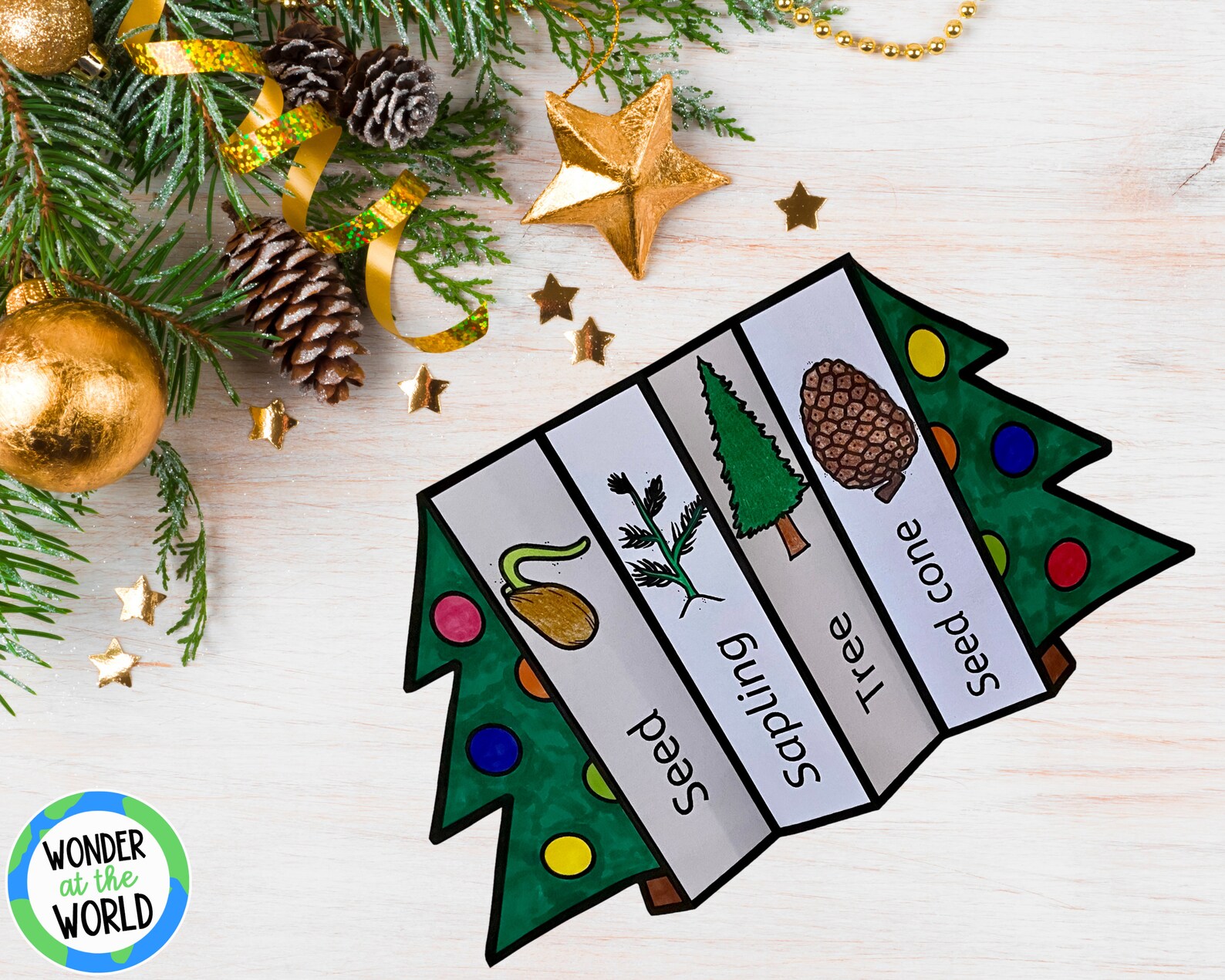 Life Cycle of a Christmas Tree Foldable Kids' Craft A4 | Etsy UK