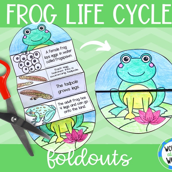 Frog Life Cycle - Etsy
