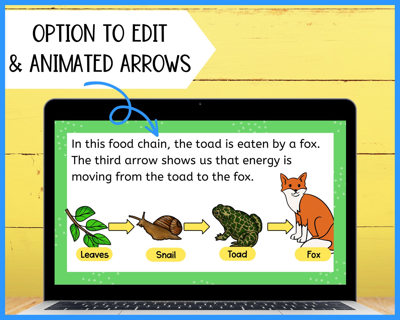 Food Chains in Different Habitats Google Slides Presentation for ...