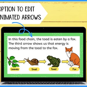 Food Chains in Different Habitats Google Slides Presentation for ...