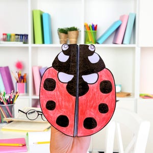 Life Cycle of a Ladybug Ladybird Sequence and Fold Kids' Science Craft ...