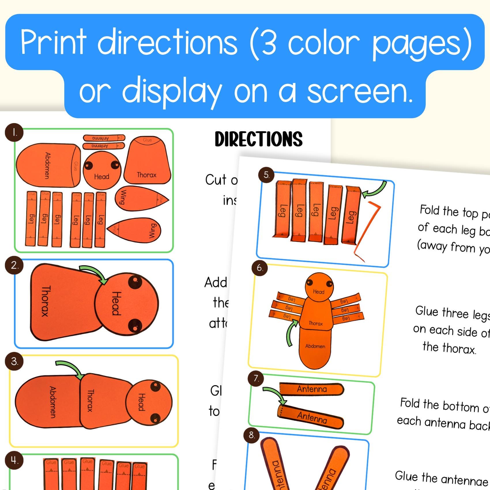 Body Parts of an Insect Build a 3D Bug Science Craft for Kids PDF - Etsy