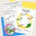 Life Cycle of a Praying Mantis Insect Foldable Sequencing Activity Cut ...