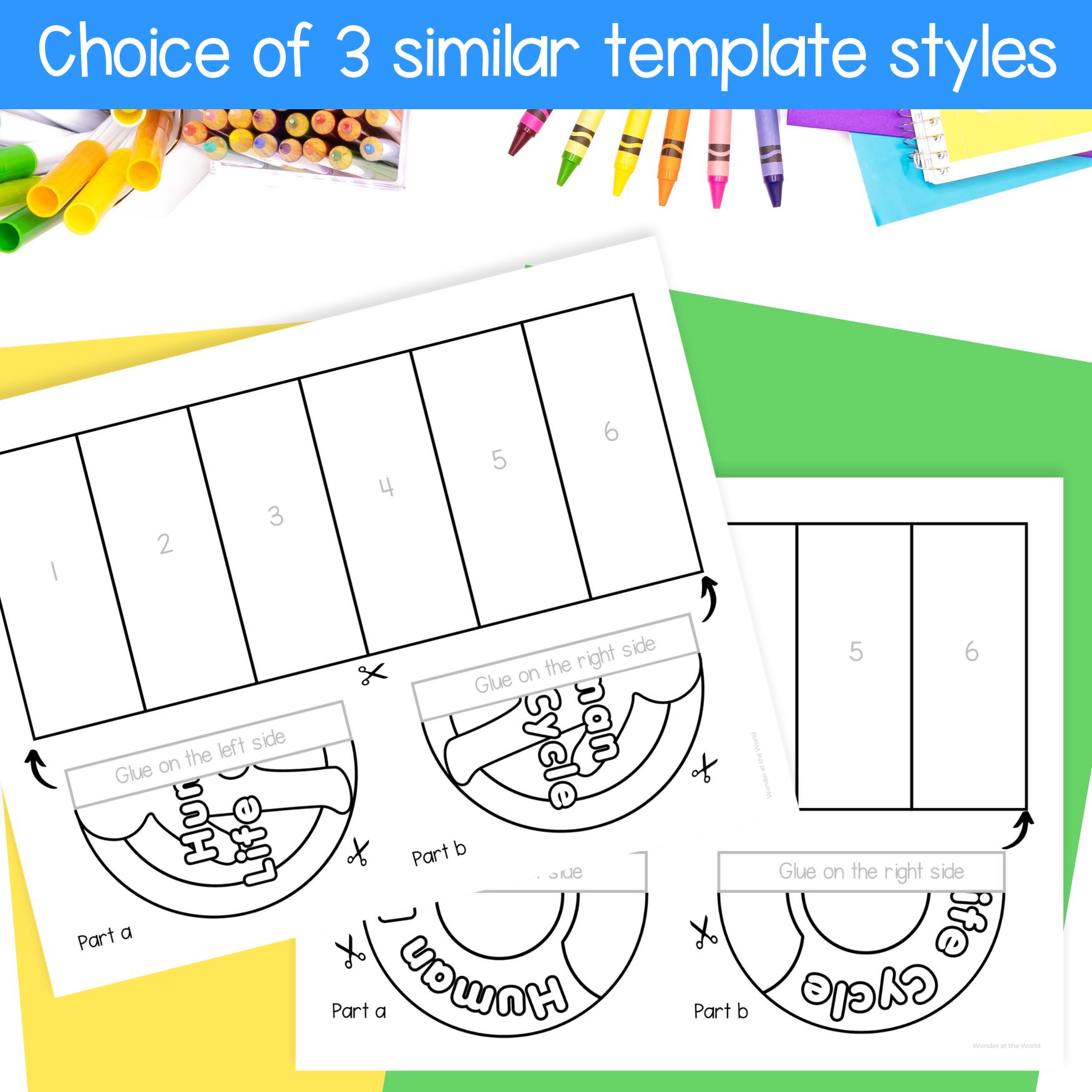 Human Life Cycle Sequence and Fold Activity for Kids | Printable US ...