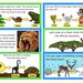 Food Chains in Different Habitats Google Slides Presentation for ...