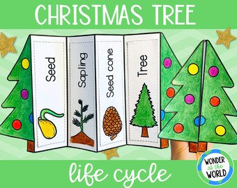 Christmas Tree Life Cycle - Etsy