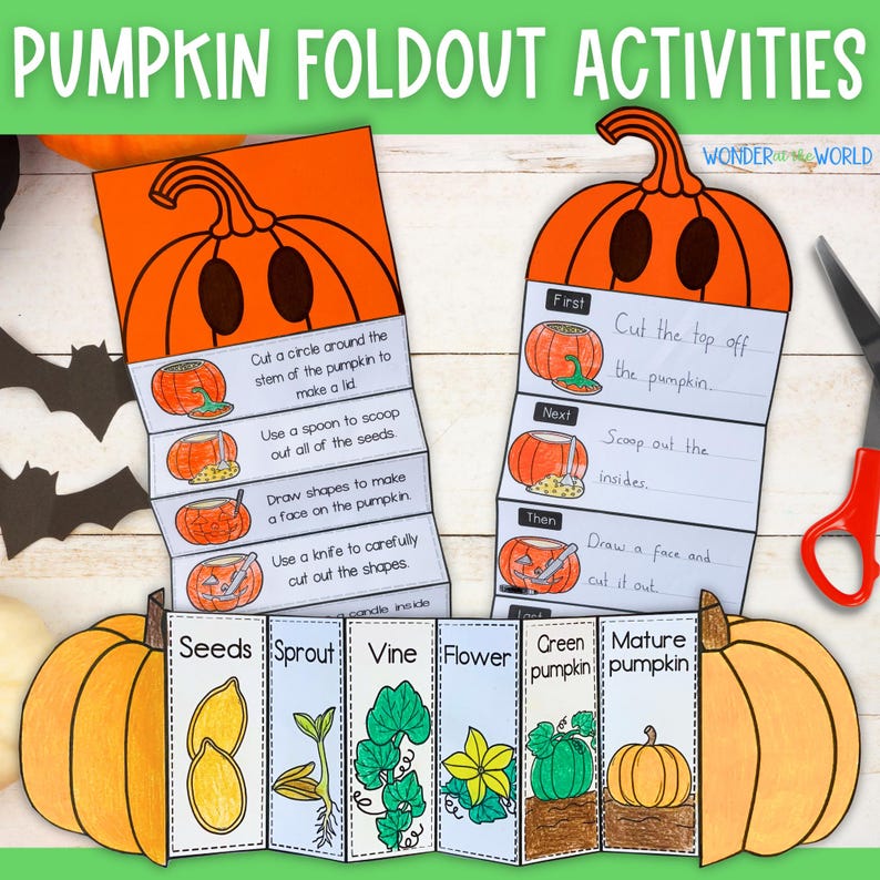 Life Cycle of a Pumpkin and How to Make a Jack O'lantern Foldout ...