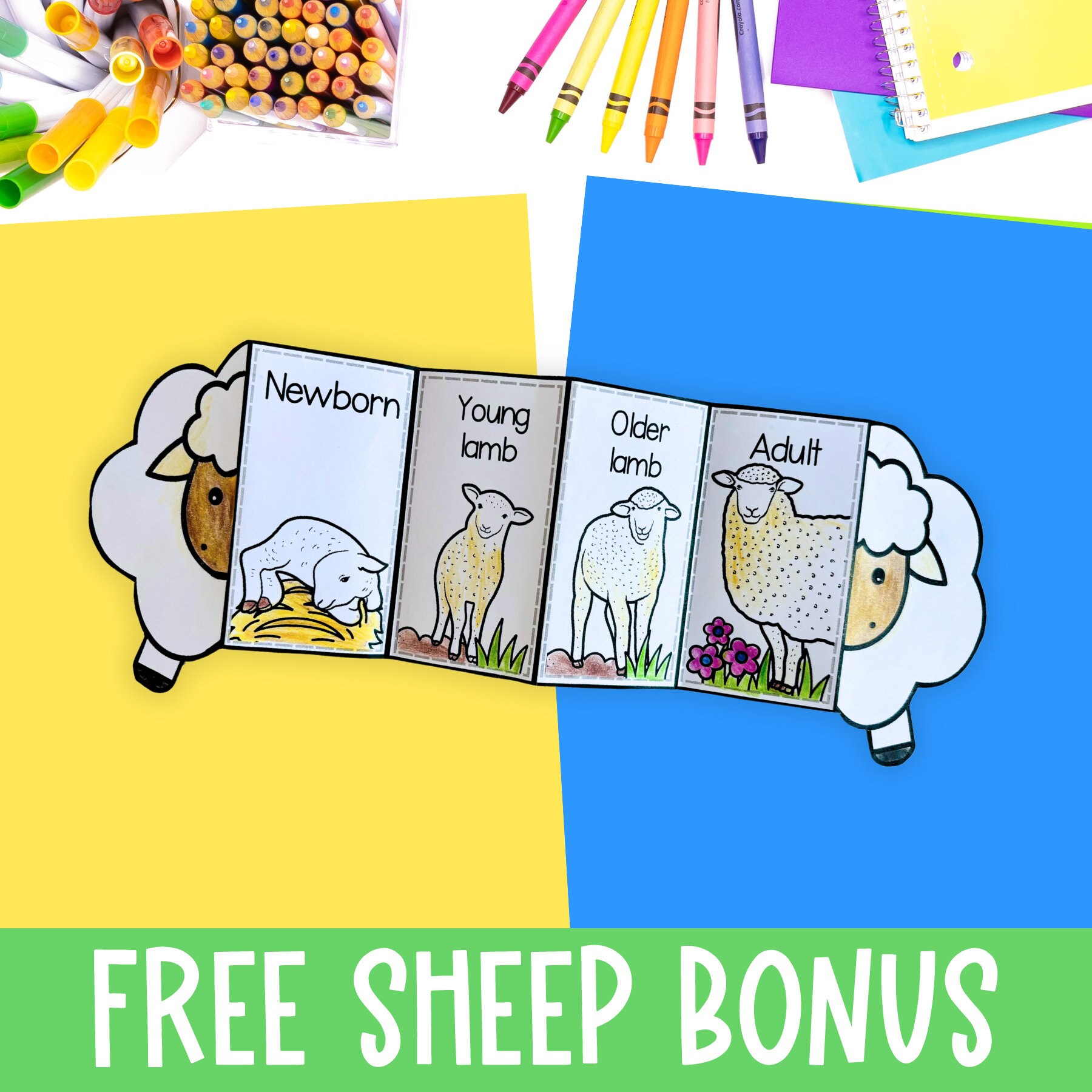 Easter Life Cycles Foldable Sequencing Activities for Kids PDF Digital ...