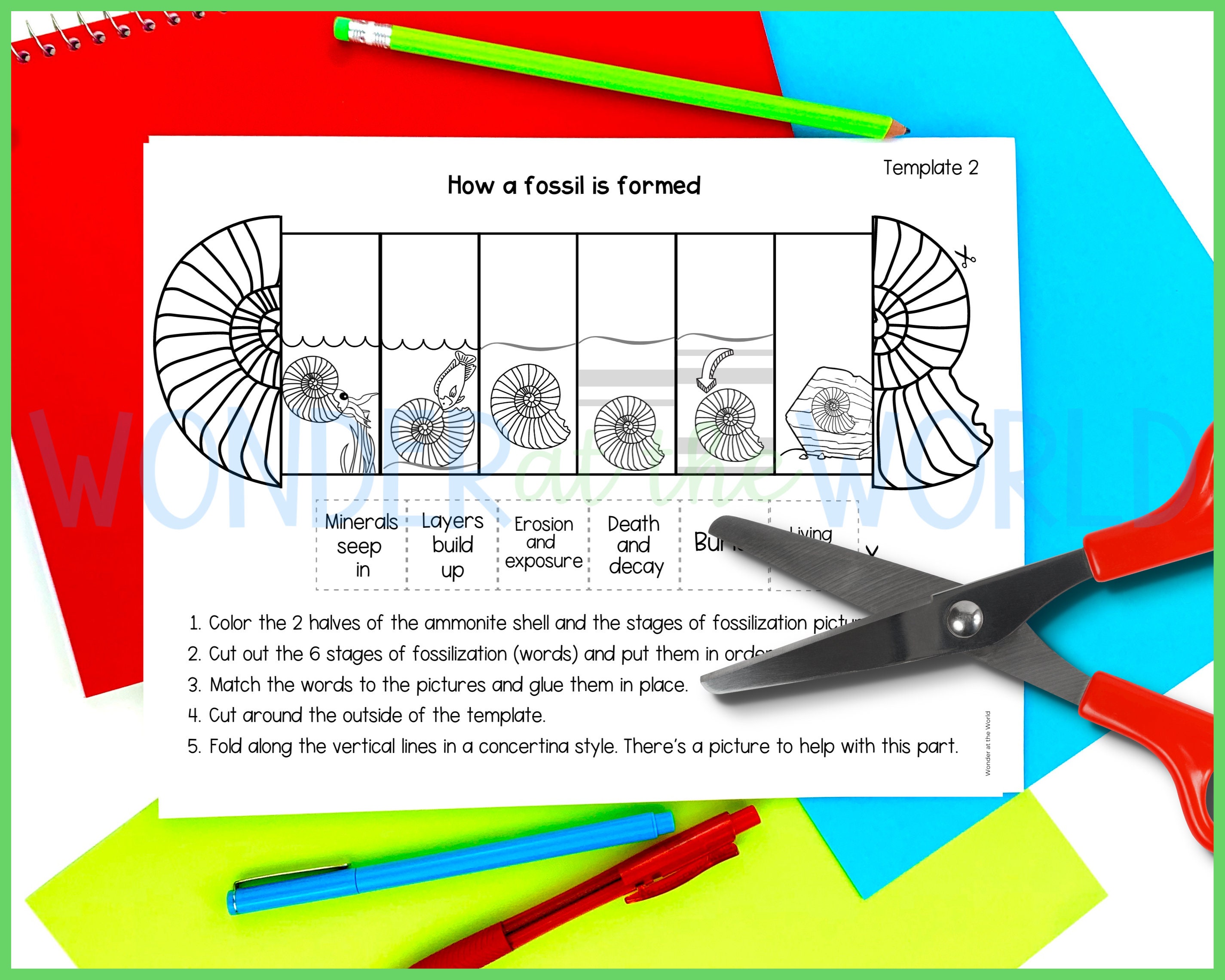 How a Fossil is Formed Foldable Activity for Kids A4 and - Etsy