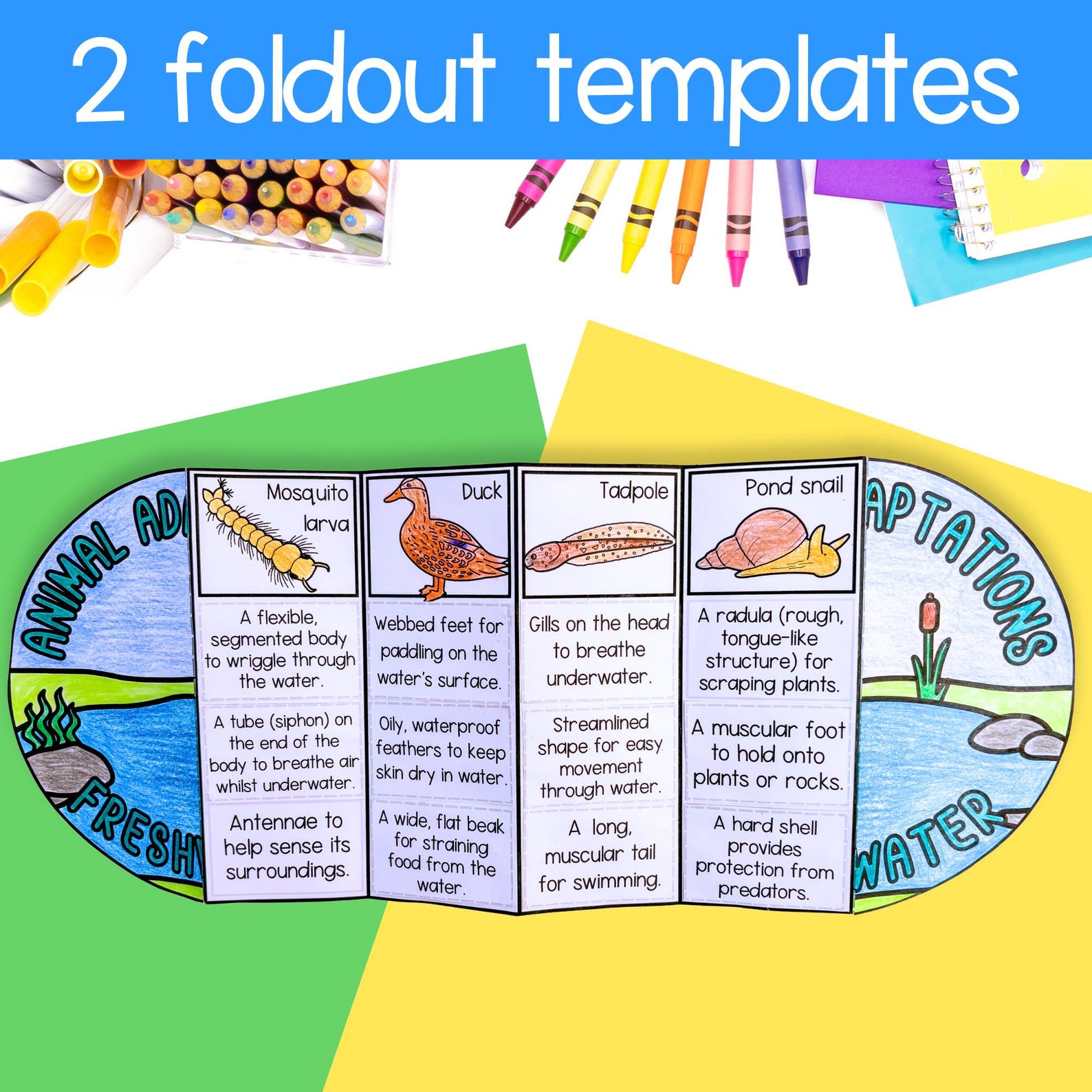 Animal Adaptations Freshwater Habitats Foldout Cut and Paste Activity ...