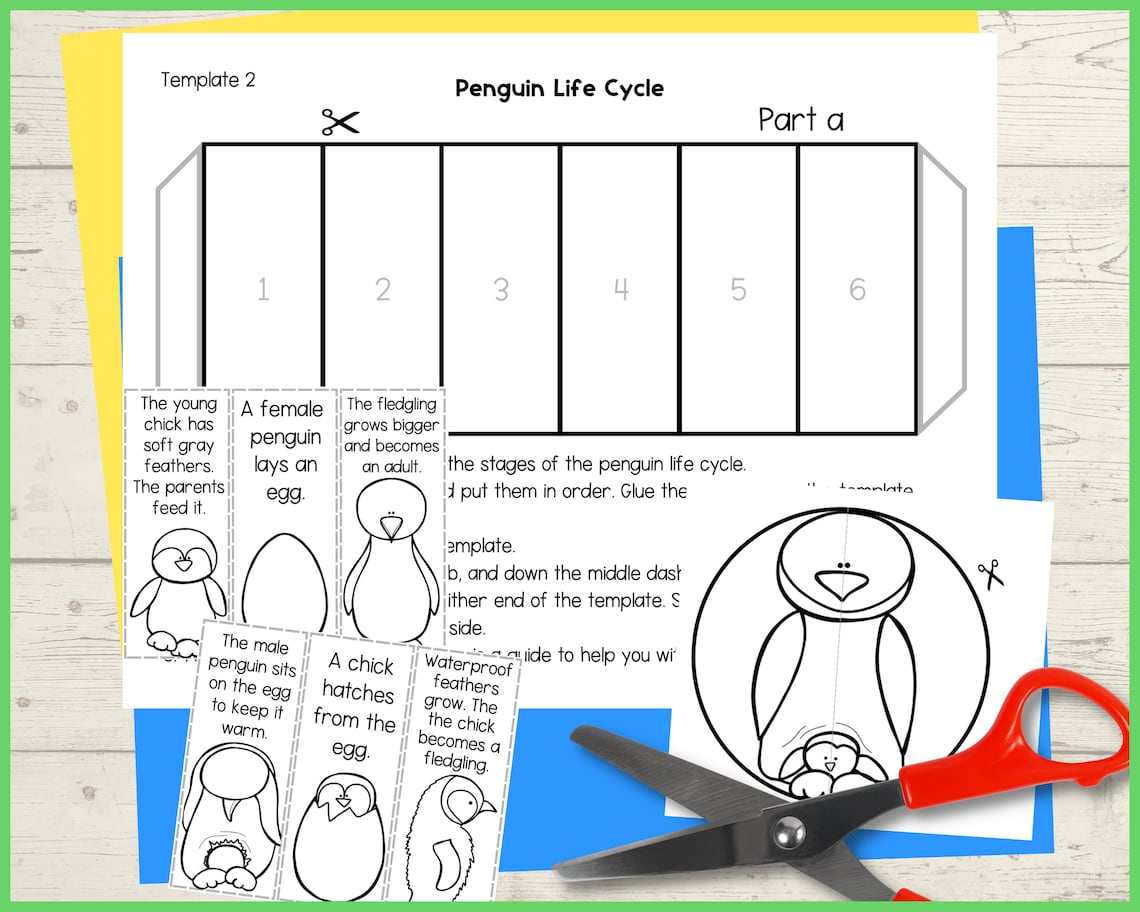 Life Cycle of a Penguin Foldable Kids' Craft Activity | A4 and 11x8.5 ...