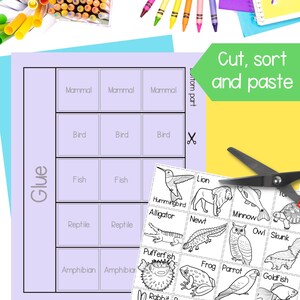 Animal Classification Sort Cut and Paste Lift the Flap Book Activity ...