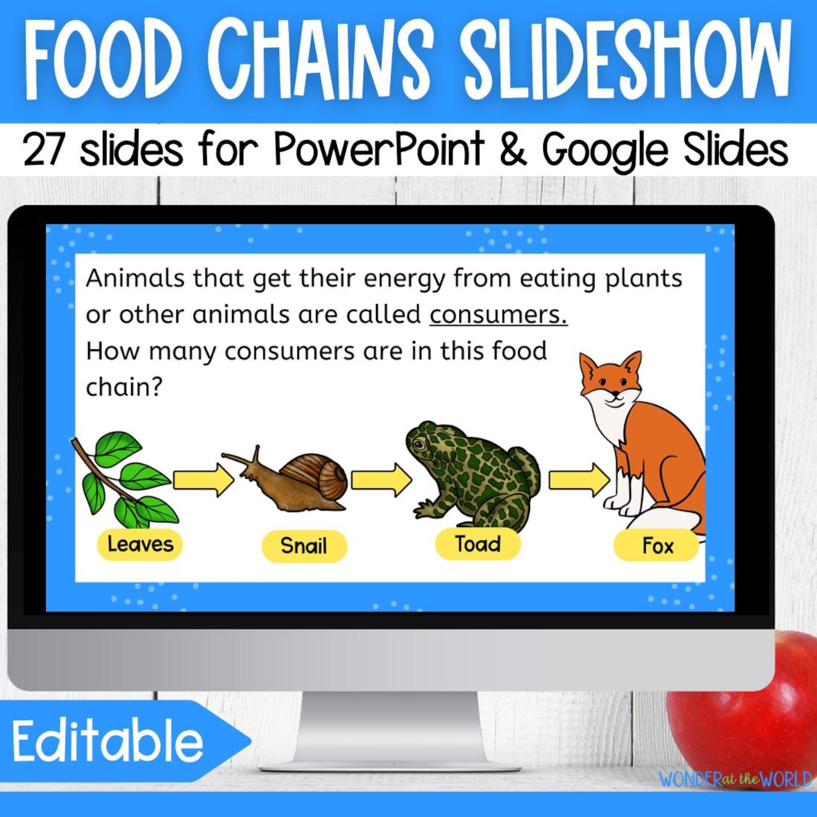Food Chains in Different Habitats Google Slides Presentation for ...