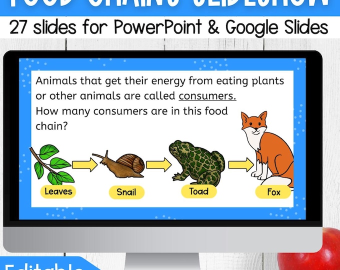 Food Chains in Different Habitats Google Slides Presentation for ...