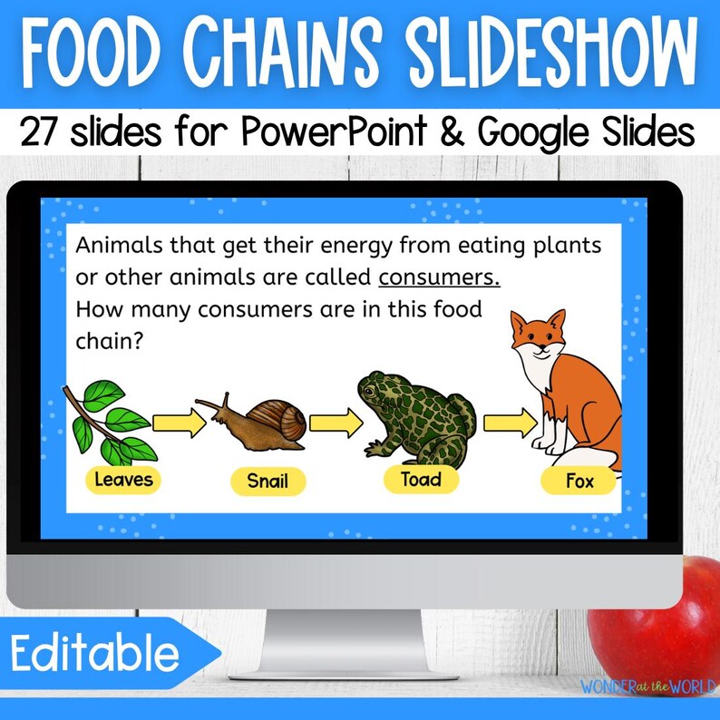 Food Chains in Different Habitats Google Slides Presentation for ...