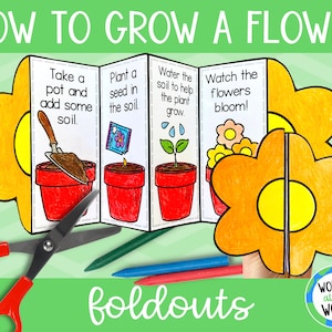 How to Grow a Flower Spring Kids Printable Craft Activity Foldable ...