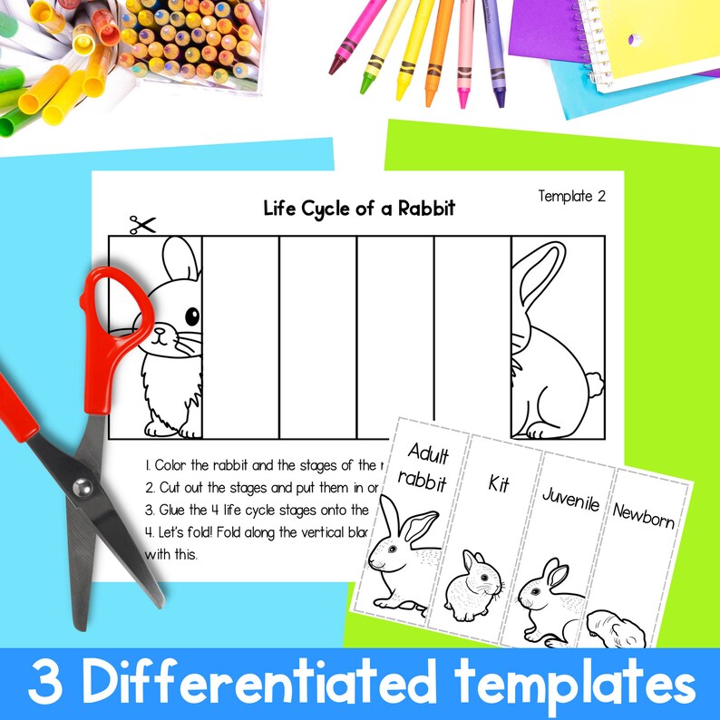 Life Cycle of a Rabbit Foldable Sequencing Activity Cut and Paste ...